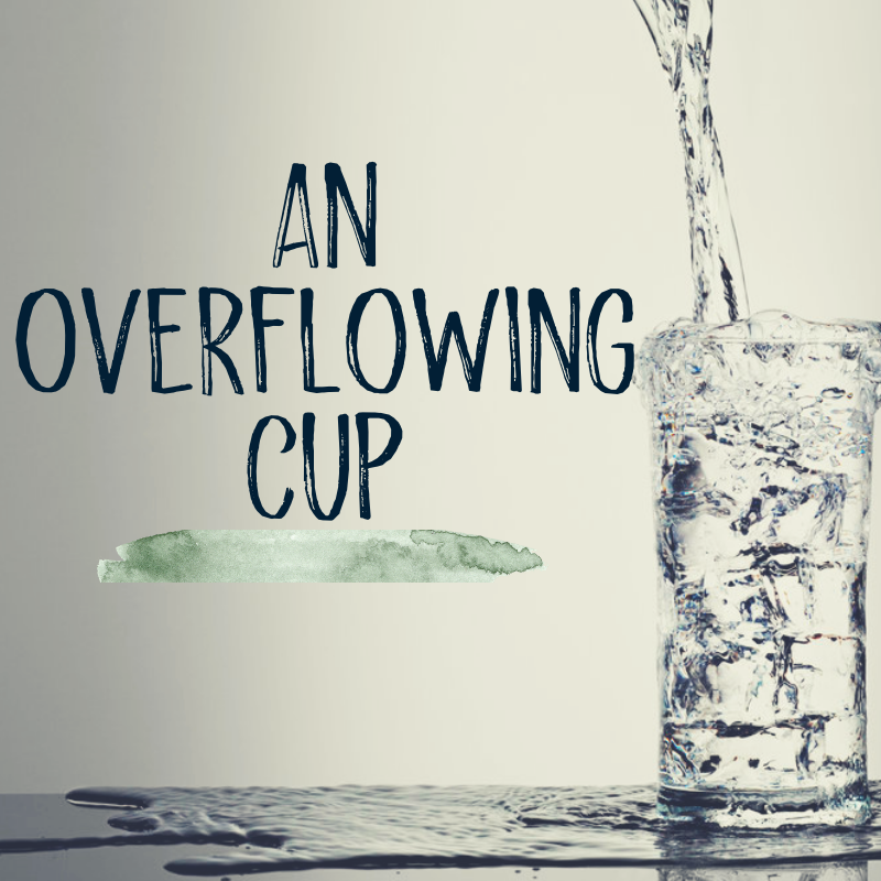 Curriculum – Abundant Life